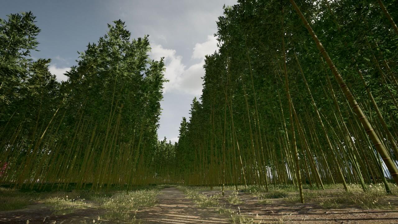 Rondo PUBG BATTLEGROUNDS 5 - Beyond Pixels